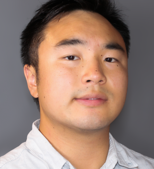 Become A Volunteer – Jamaica Cultural Alliance